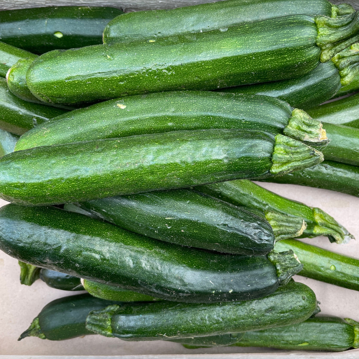 Courgette Green | The Ealing Grocer